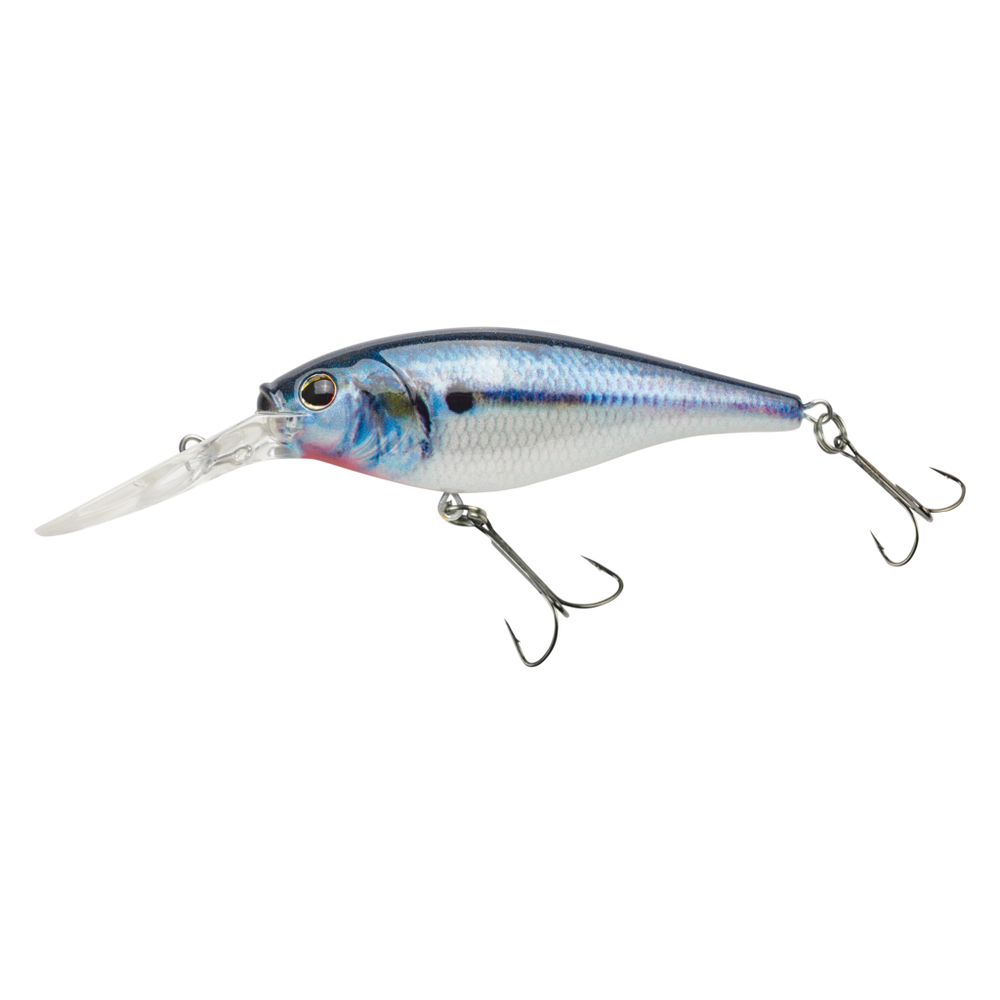 HD Threadfin Shad Flicker Shad – Big Eye Spinnerbaits